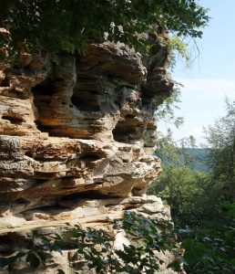 Hof Dick in Holsthum – Hopfen entdecken und erleben